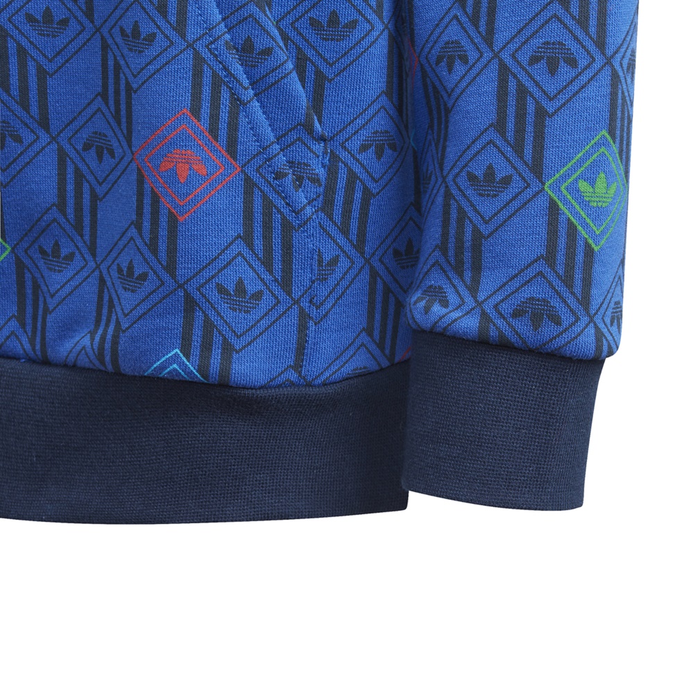 Adidas Originals Junior Trefoil Geometric Print Hoodie